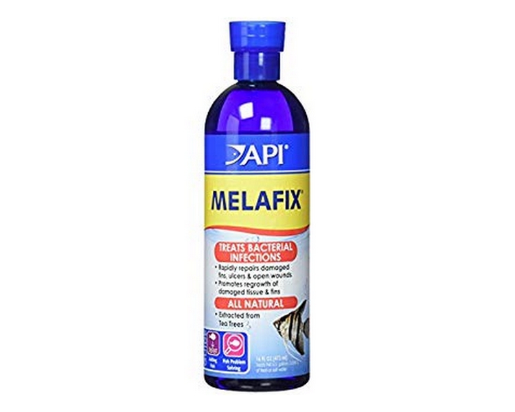 API Melafix - Antibacterial Treatment - 237ml The Trop Company