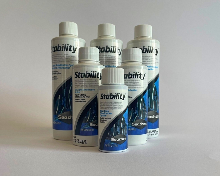 What is new!! - The Trop Company