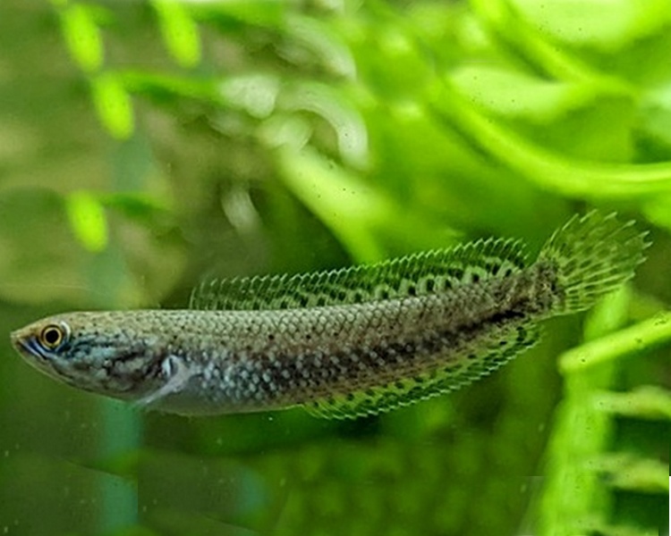 What is new!! - The Trop Company