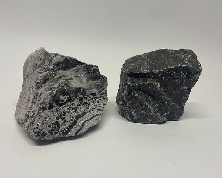 Aquascaping Leopard Stone The Trop Company