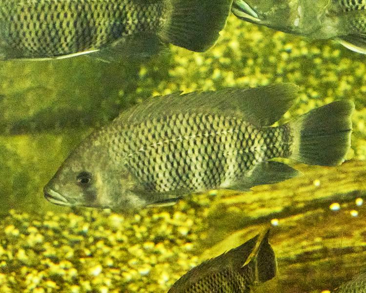 What is new!! - The Trop Company