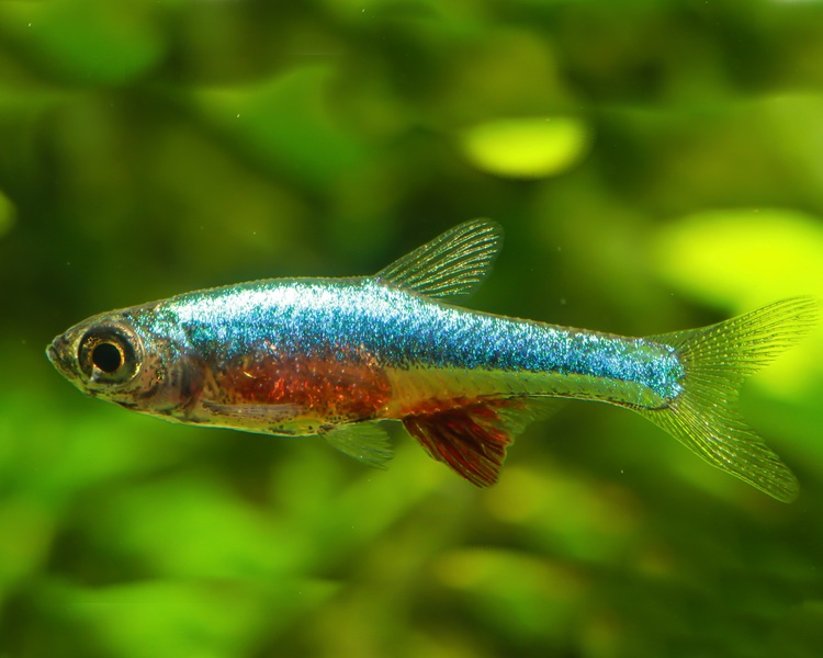 What is new!! - The Trop Company