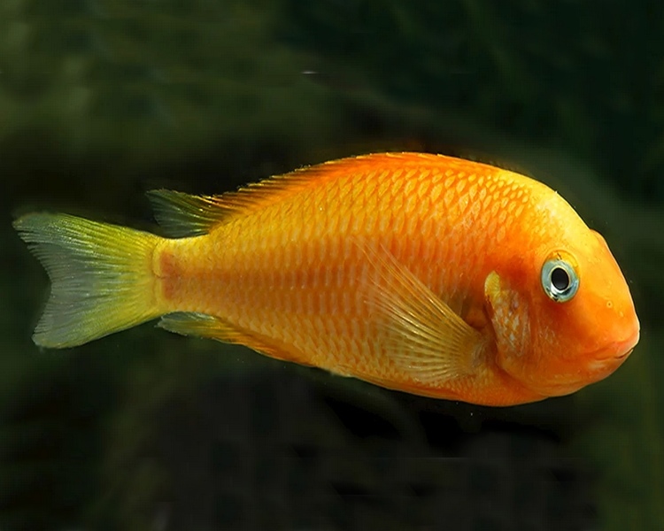 What is new!! - The Trop Company